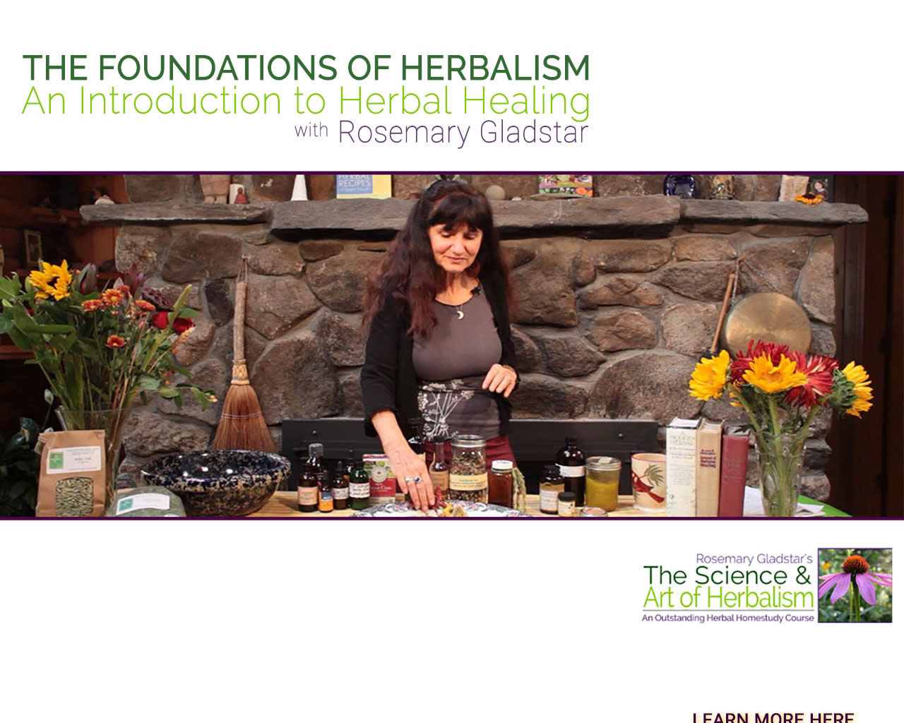 An Introduction to Medicinal Herb Formulation - The Science & Art of ...