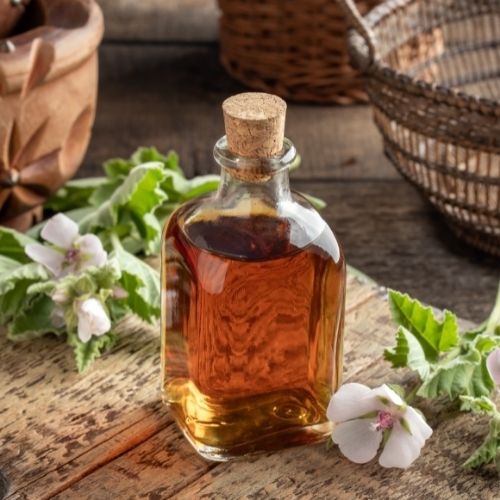 Keeping our Bodies Healthy and our Spirits Strong in the Face of Fire ...