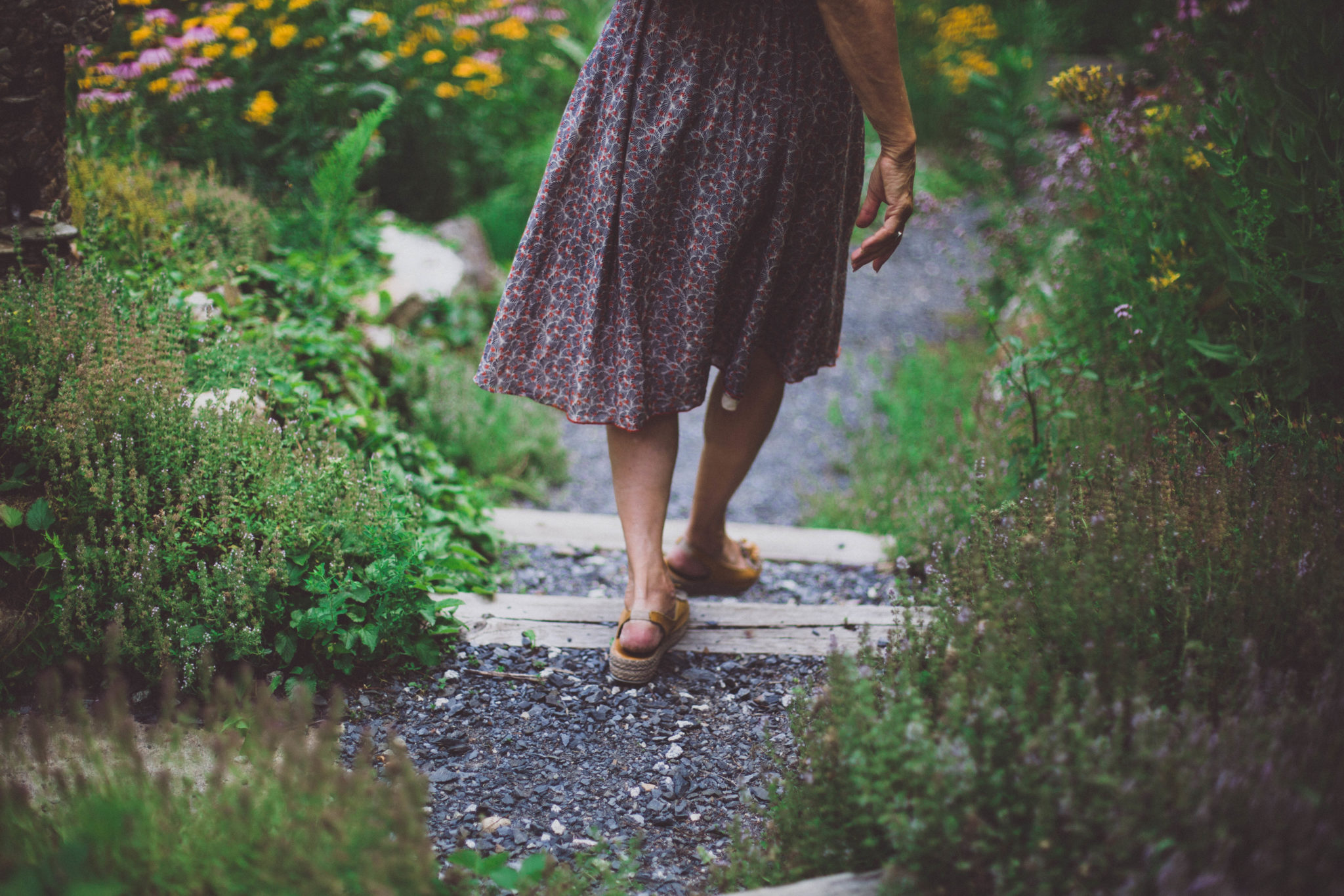 Growing Awareness with Botanical Sanctuaries - The Science & Art of ...