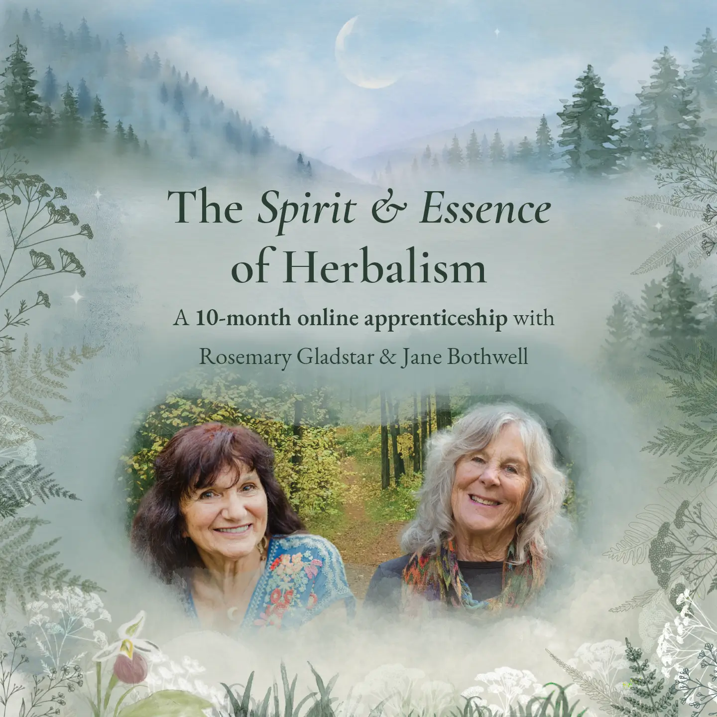 Apprenticeship with Rosemary Gladstar and Jane Bothwell - The Spirit ...